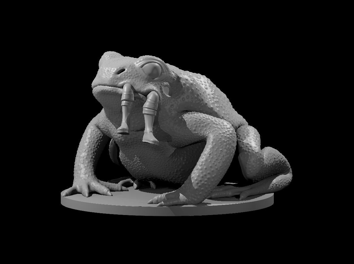 Giant Toad Eating an Adventurer - DND - Pathfinder - Dungeons & Dragon