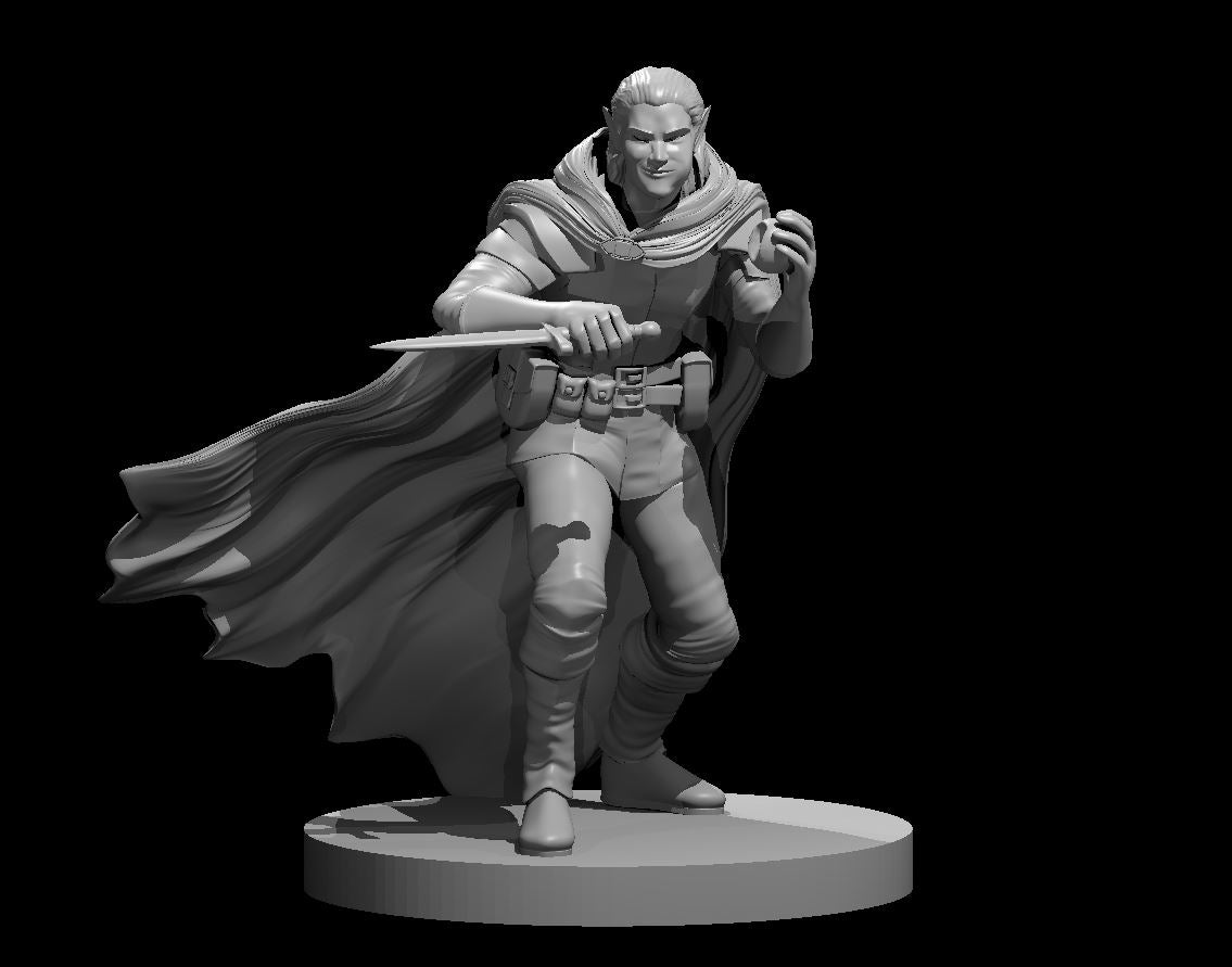 Elf Male Rogues - DND - Pathfinder - Dungeons & Dragons - RPG - Tablet