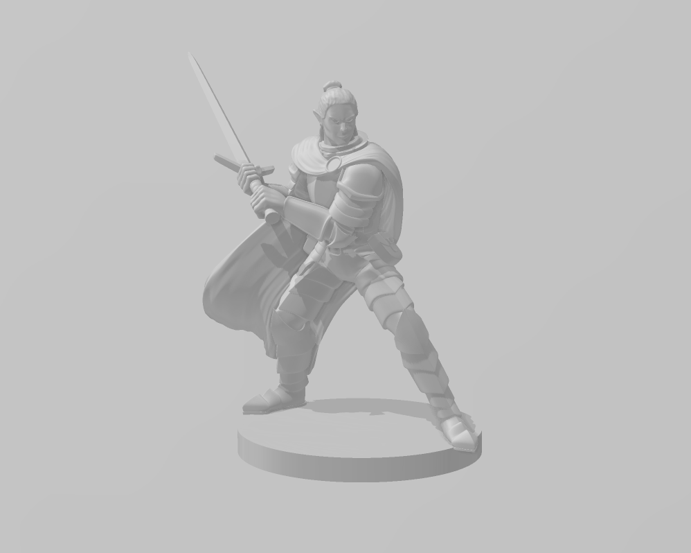 Elf Male Paladin - DND - Pathfinder - Dungeons & Dragons - RPG - Table