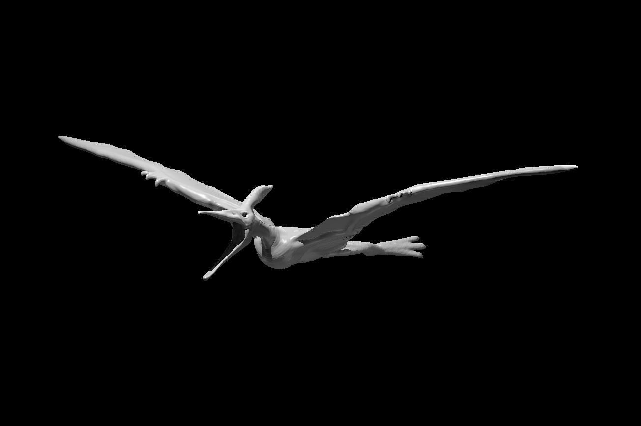 Pteranodon Mini - DND - Pathfinder - Dungeons & Dragons - RPG - Tablet